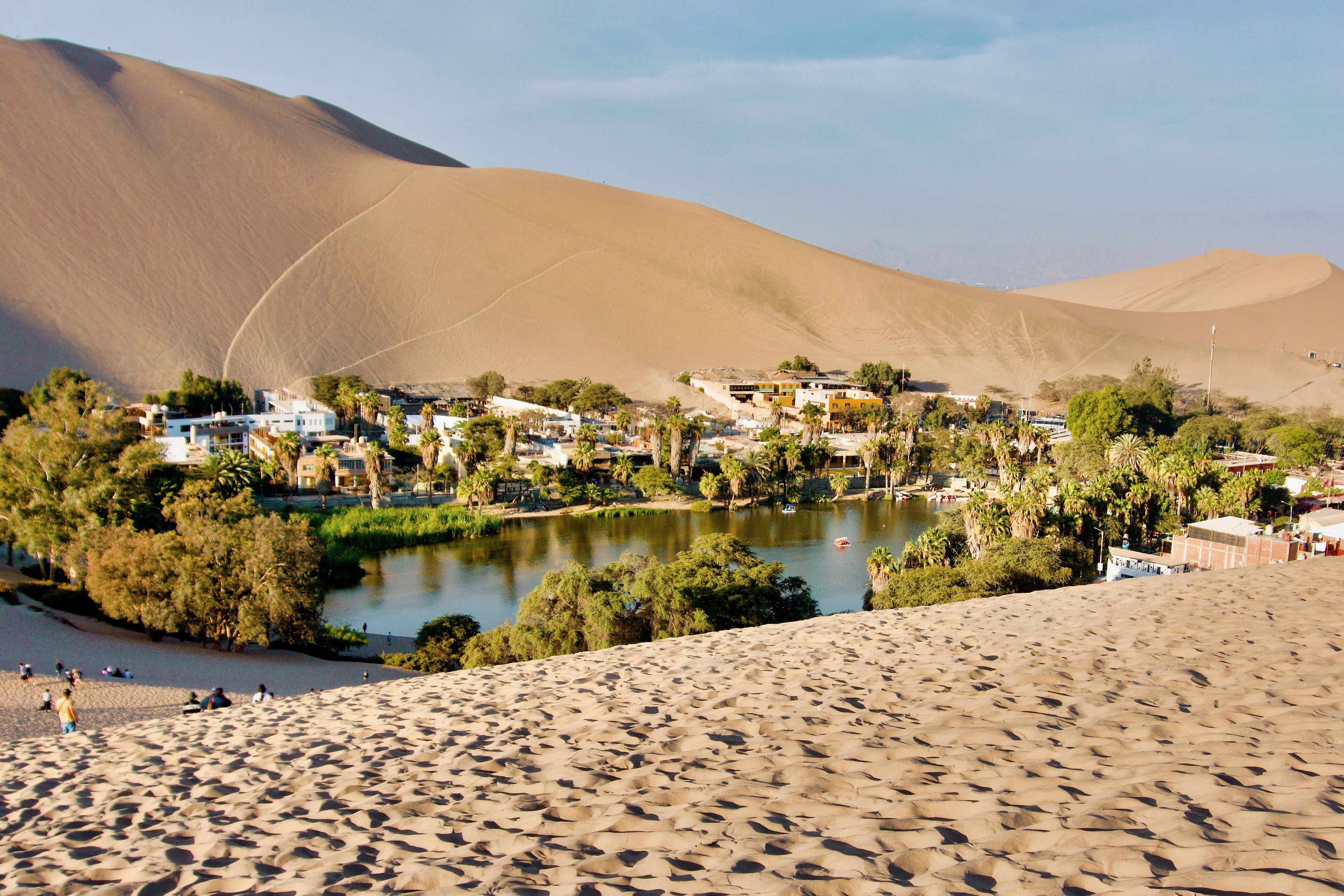 Best Things to Do in Peru's Ica Valley: Peruvian Wine, Pisco ...